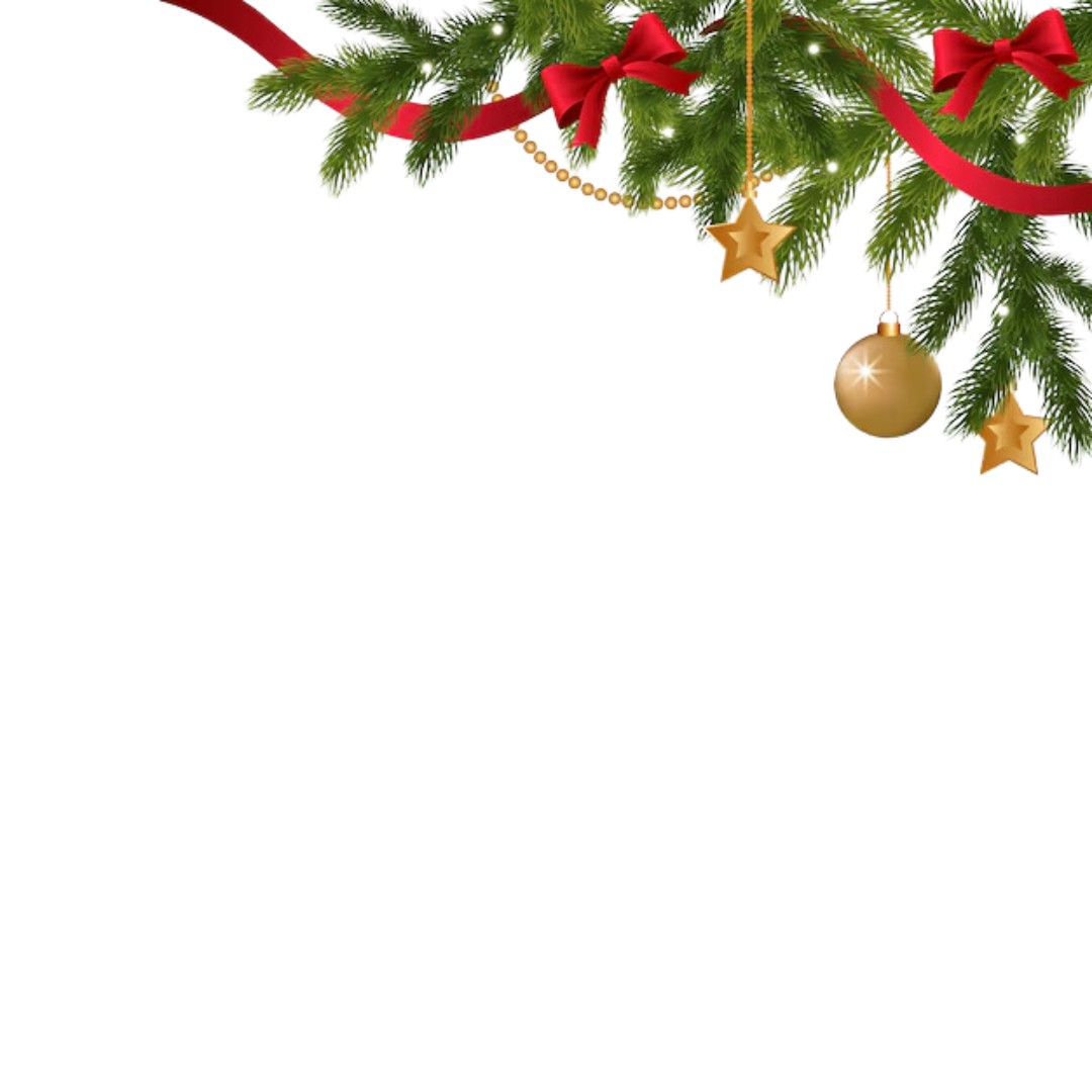 Jul i restaurant Christiansminde - Udsøgt julemad i december